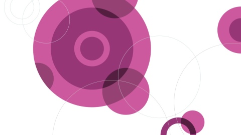 HeVaTech GmbH pulsierende Schröpftherapie | therapie MÜNCHEN